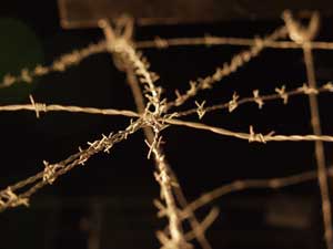 TAKING A DEEP LOOK INTO TNA'S BARBED WIRE MASSACRE AND WHY IT'S TIME ...